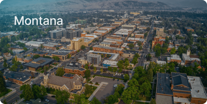 About Us | Purelight Power