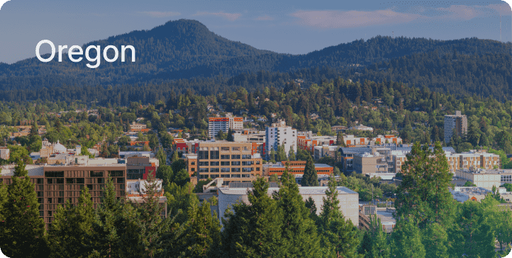 About Us | Purelight Power